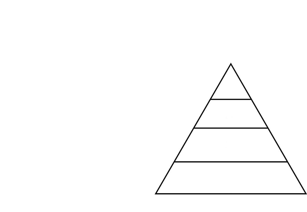 Food Chain Pyramid Blank